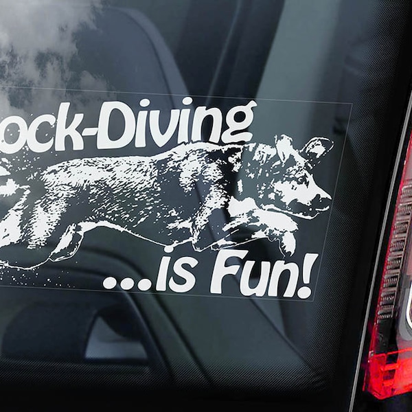 Dock Diving Stickers - Etsy