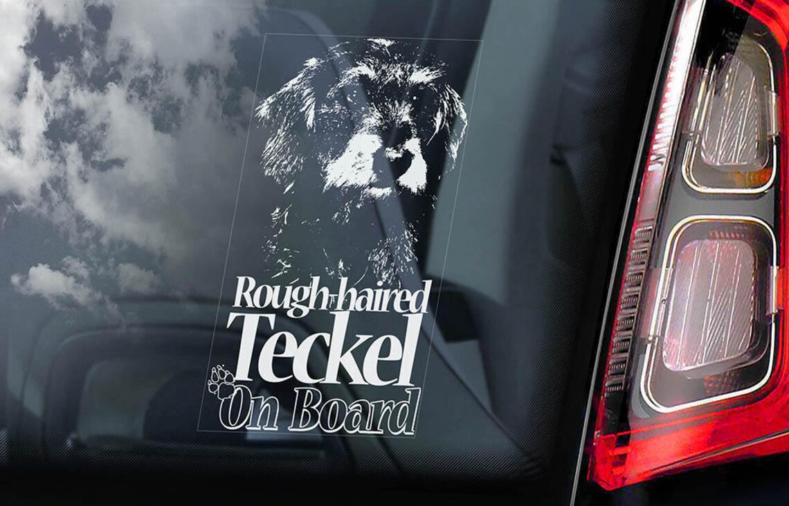 Rough-haired Teckel on Board - Car Window Sticker - Dachshund Dackel ...