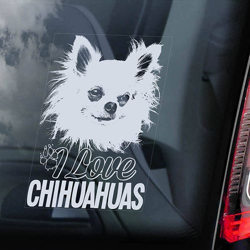 Dachshund Car Window Sticker Teckel Picasso Dog Sign Decal - Etsy