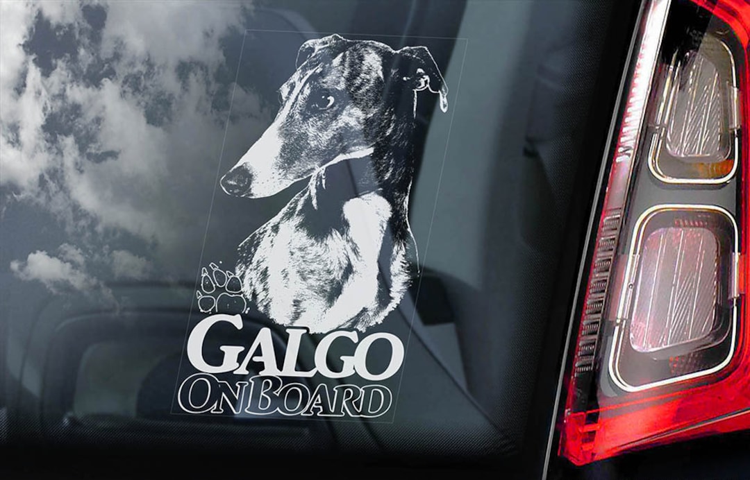 Galgo on Board - Car Window Sticker - Español Dog Spanish Greyhound ...