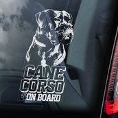 Cane Corso on Board Car Window Sticker Beware of the Dog Italian ...