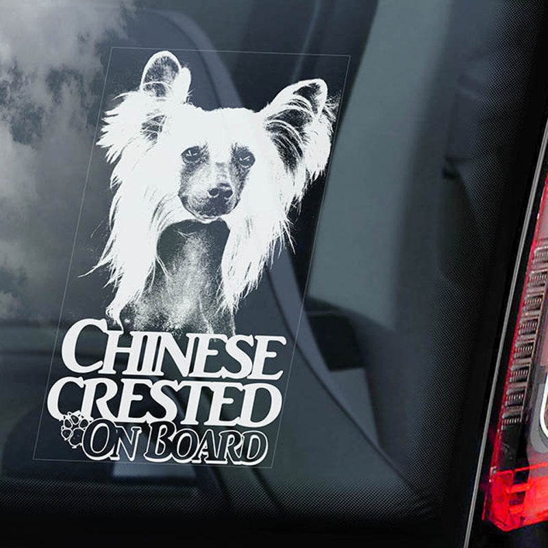 Chinese Crested Dog - Etsy