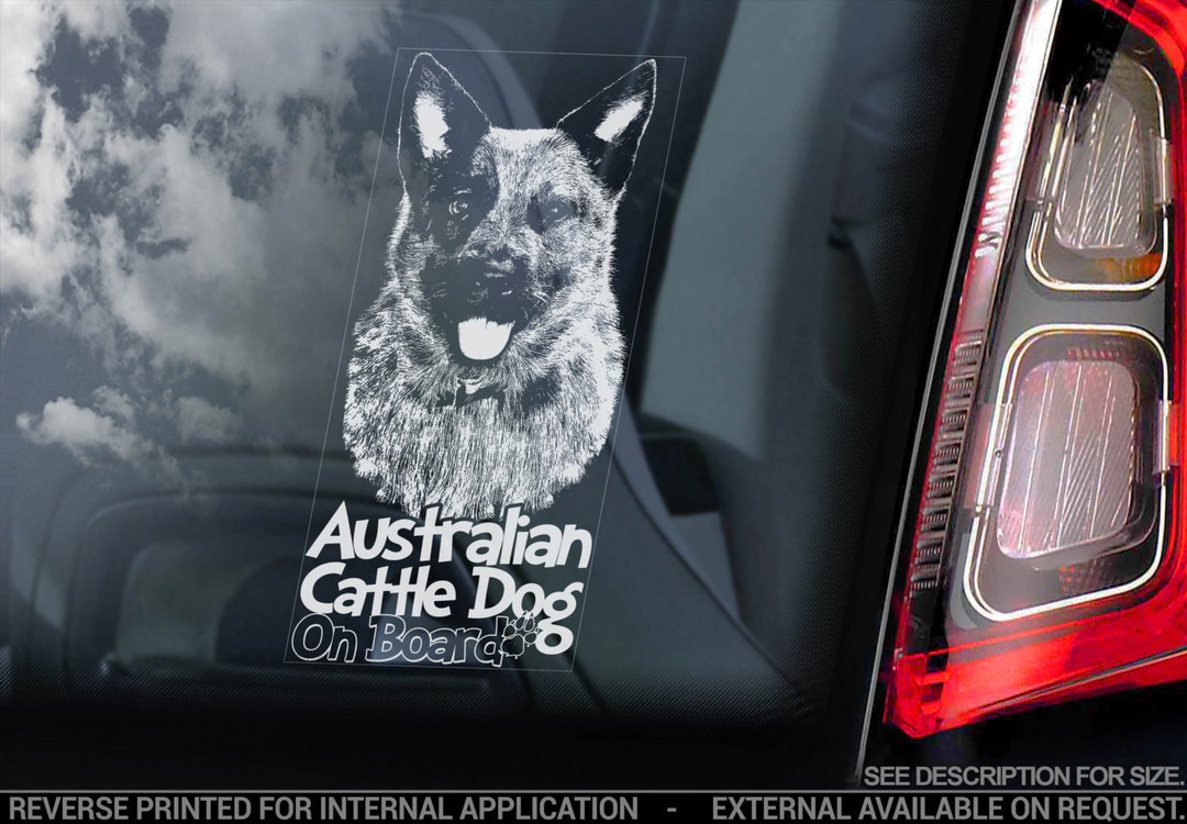 Australian Cattledog on Board Car Window Sticker Cattle - Etsy UK