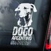 Animals in Transit Car Window Sticker Dog Bumper Sign Decal Gift V02 ...