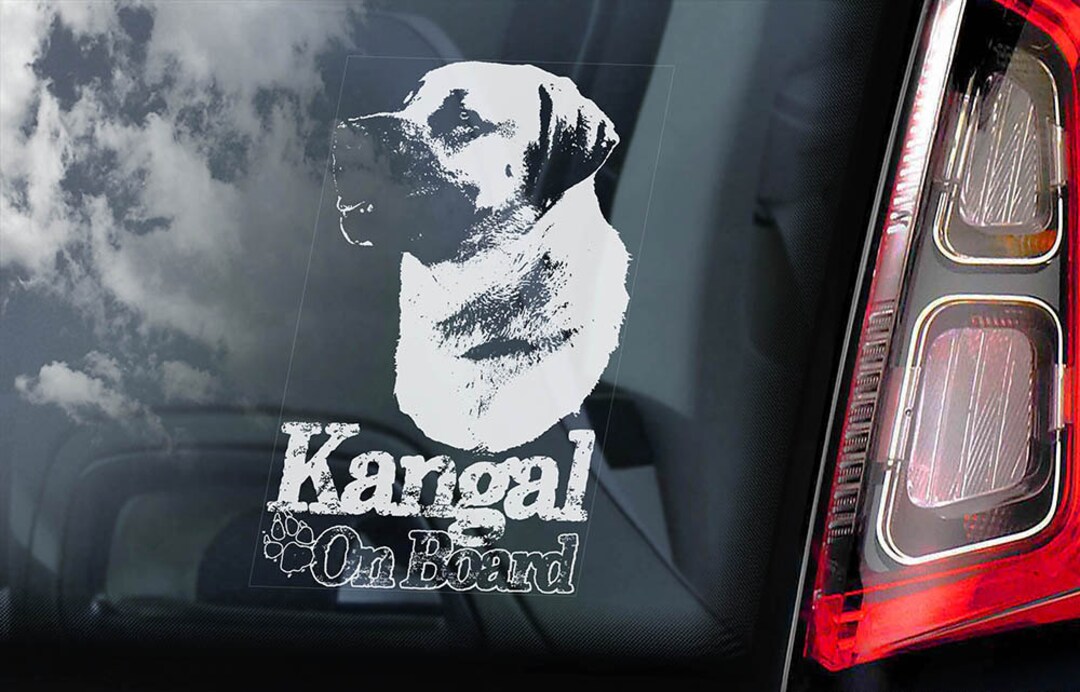 Kangal on Board - Car Window Sticker - Turkish Sivas Dog Sign Decal ...