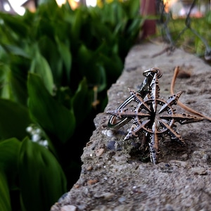 Chaotic Star Pendant,chaos Star Magic Pendant Kabbalah,chaos Wheel ...
