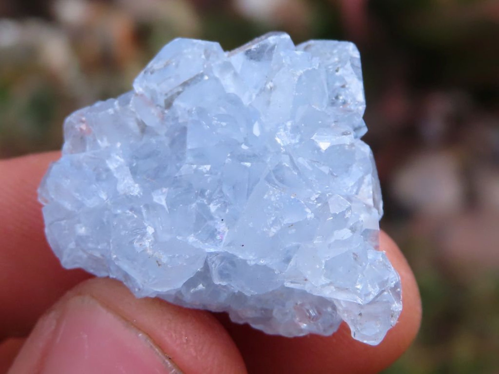 Natural Blue Celestite Crystal Specimens Lot 2 Grab Bag - Etsy