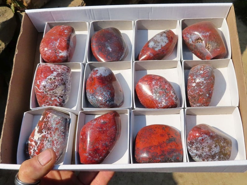 Polished Flower Jasper Standing Free Forms From Namibia - Grab Bag - Etsy