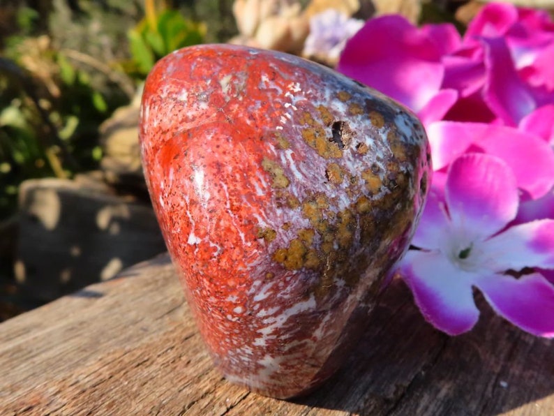 Polished Flower Jasper Standing Free Forms From Namibia Grab - Etsy