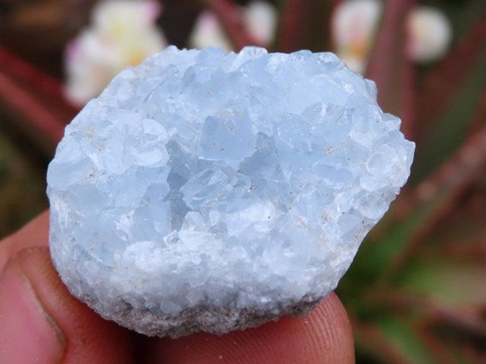 Natural Blue Celestite Crystal Specimens Lot 2 Grab Bag - Etsy