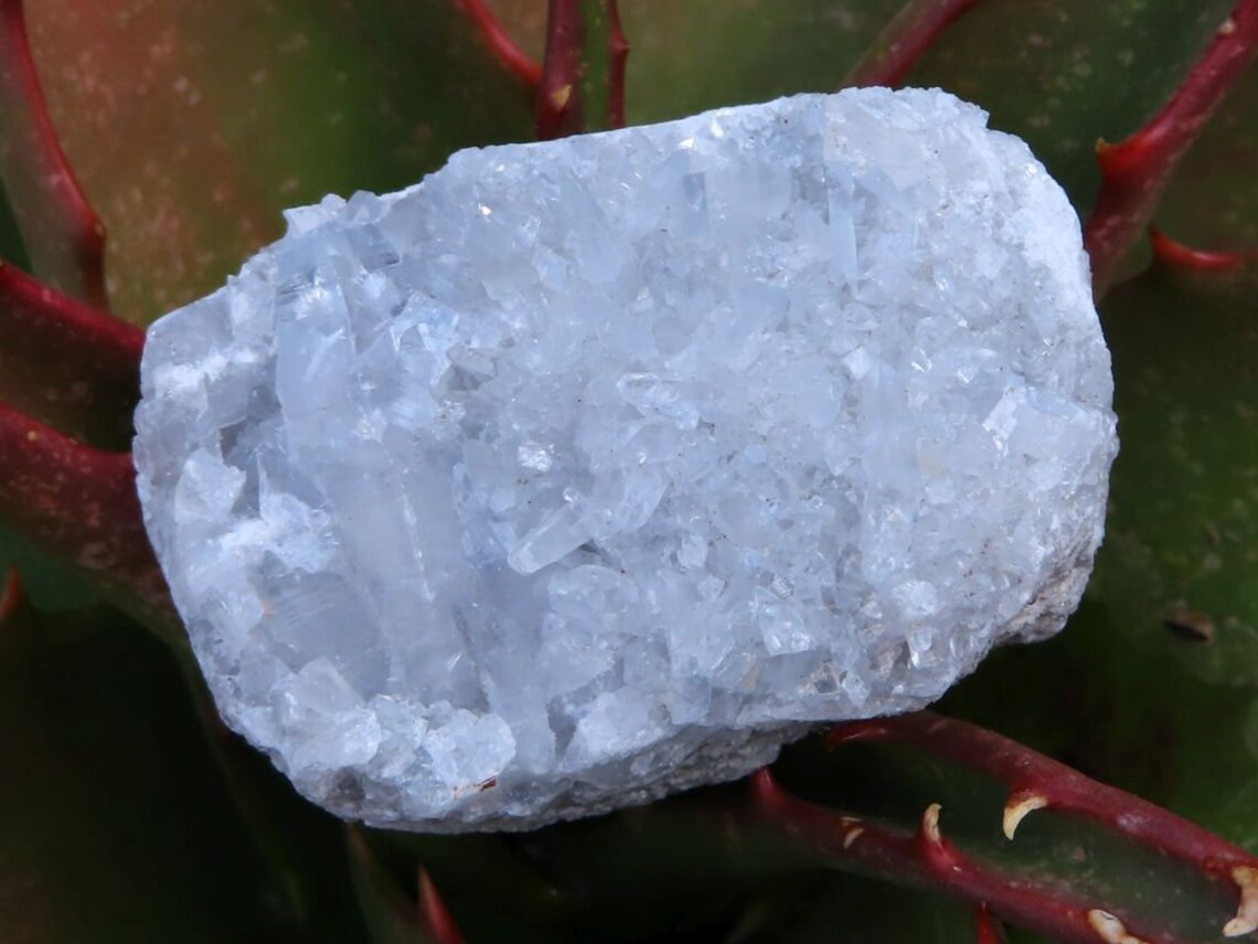 Natural Blue Celestite Crystal Specimens Lot 2 Grab Bag - Etsy