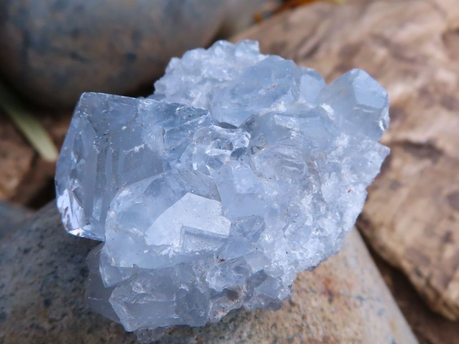 Natural Blue Celestite Crystal Specimens Lot 2 Grab Bag - Etsy