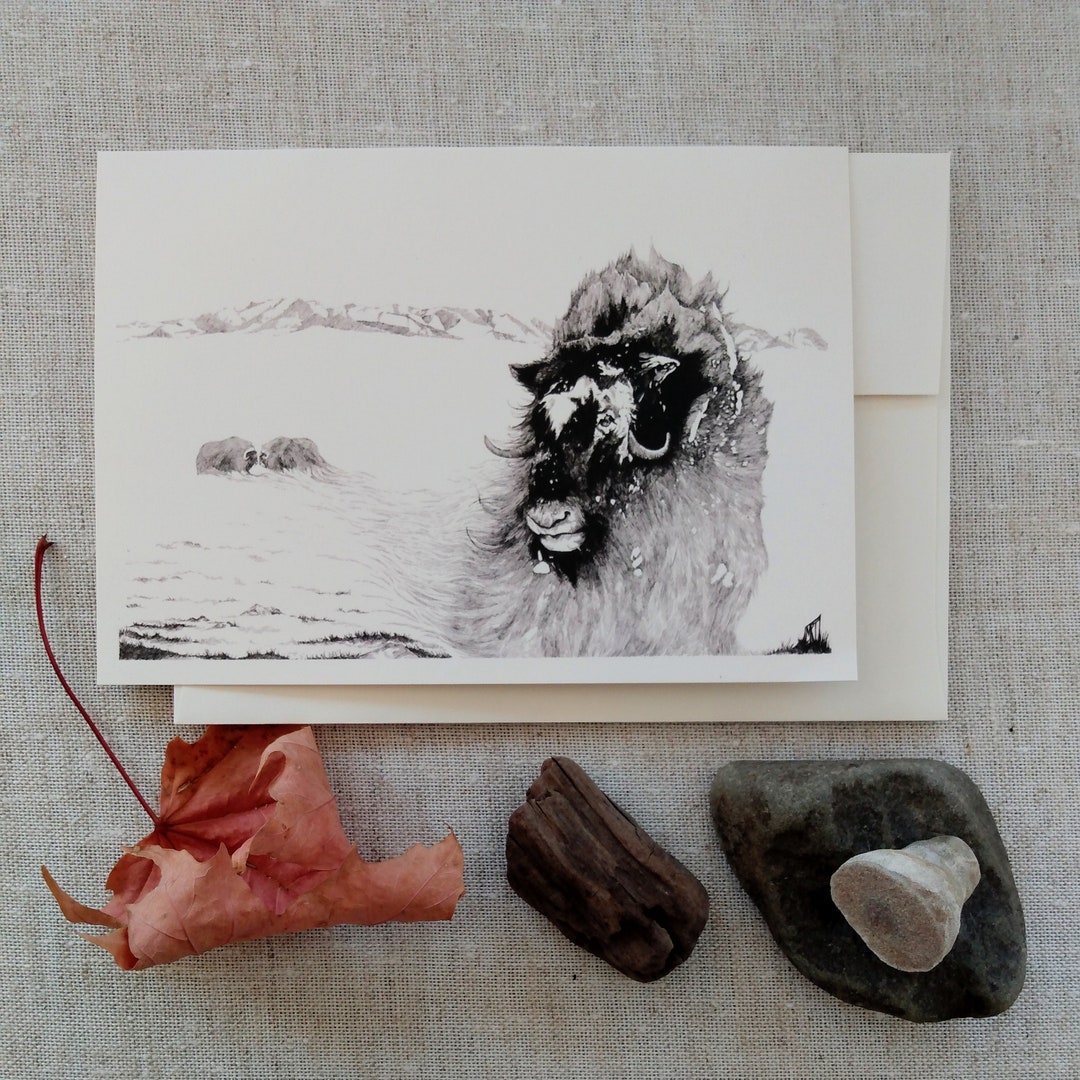 Musk Ox, Winter, Canada, Arctic, Pen and Ink, Unique, Block Print, Art ...