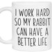 Rabbit Lover Gift Rabbit Gifts for Women Rabbit Gifts - Etsy