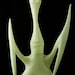 Parasyte Migi Glow Vinyl Art-toy Figure - Etsy