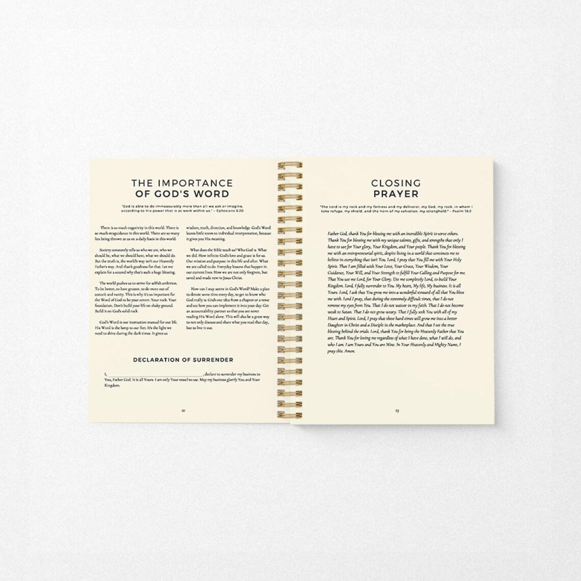 Godly Entrepreneurship Devotional | Christian Devotional | 8.5x11 ...