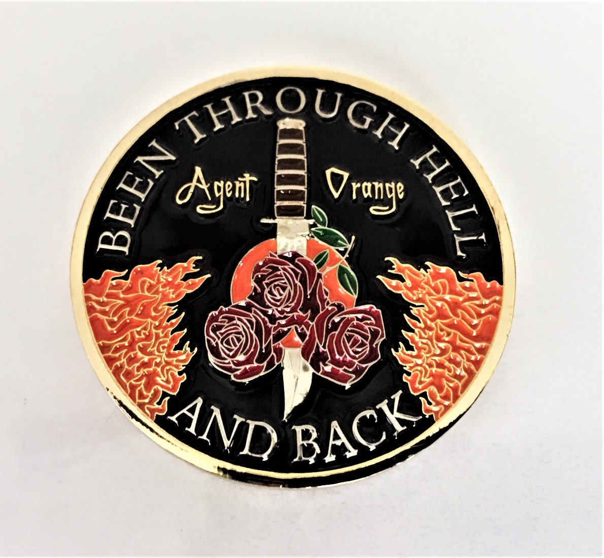 Agent Orange Vietnam Veteran Challenge Coin - Etsy