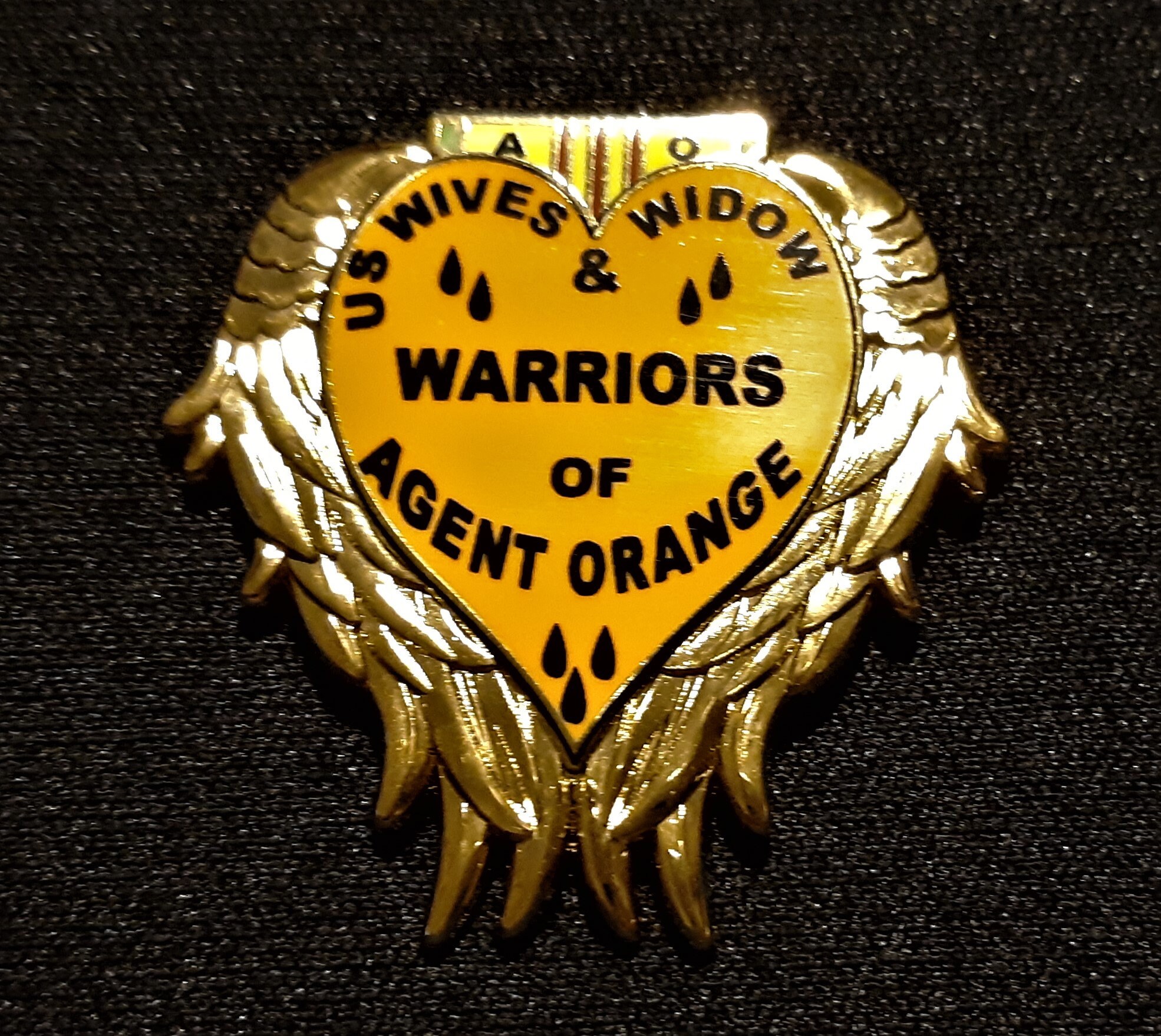 Vietnam Veteran Wives and Widow Warriors of Agent Orange Pin - Etsy