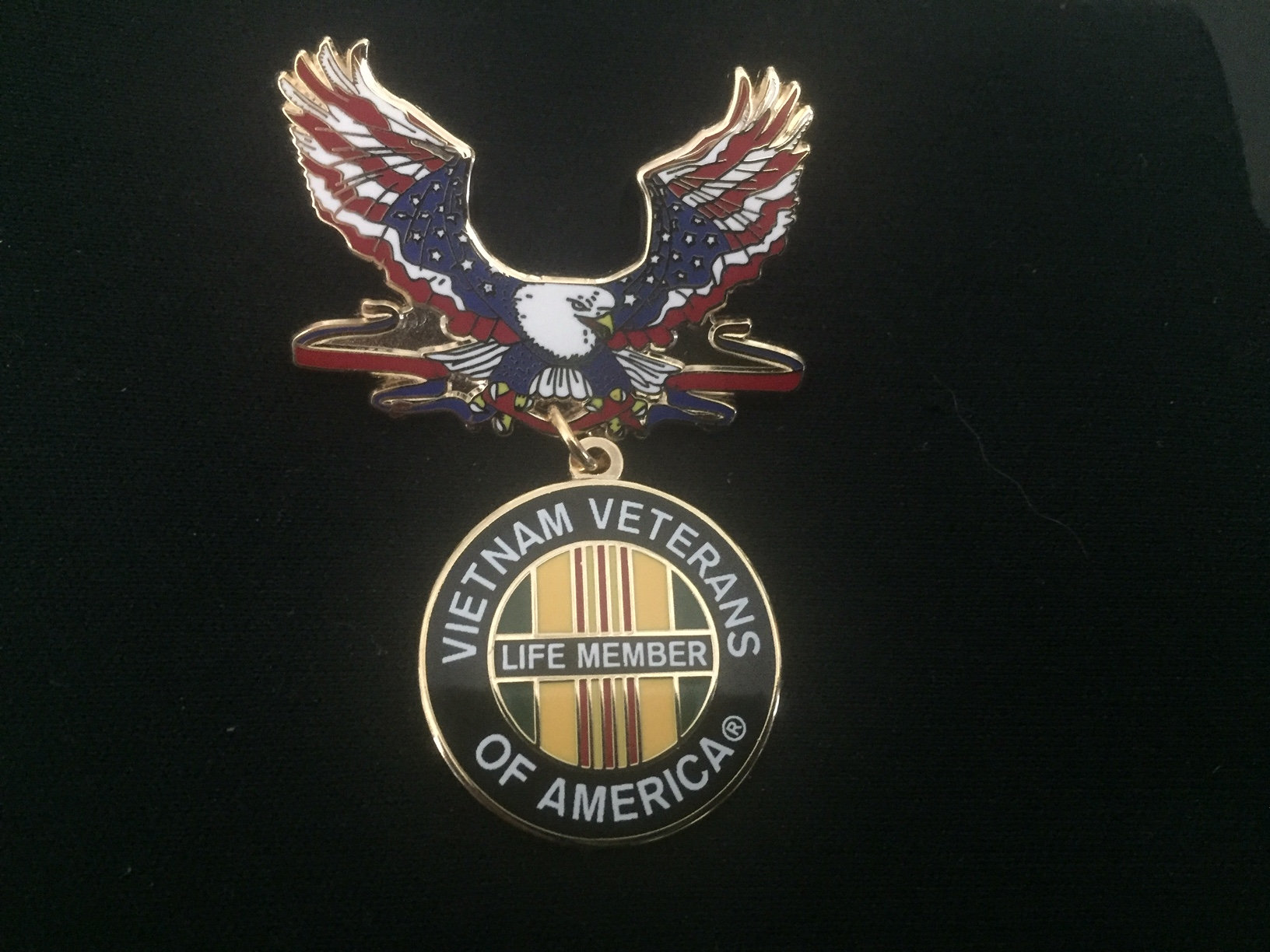 Vietnam Veterans of America Patriotic Eagle Pin - Etsy