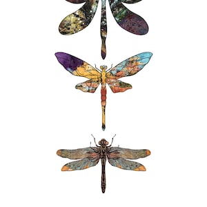 Printable Paper Dragonflies for Paper Crafts, Ephemera, Journal ...