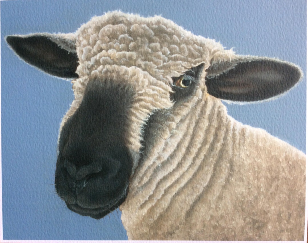 Sheep Print on Canvas, Painting, Gift, Art, and Original Picture - Etsy UK