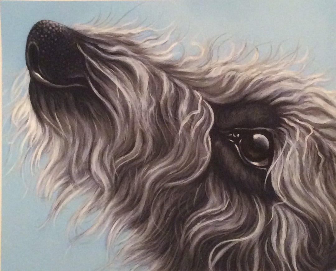 Lurcher Print, Art, Painting, Gift, Picture, Poster, Fun - Etsy
