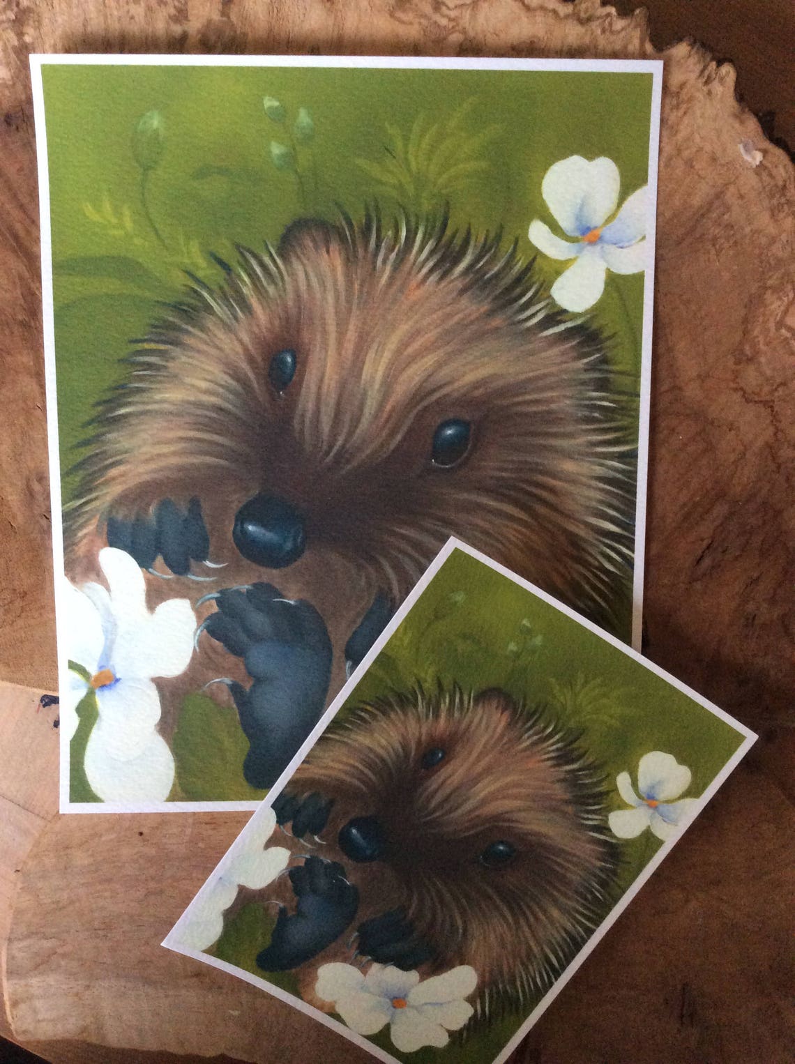 Hedgehog Painting Print, Gift, Art, Picture - Etsy