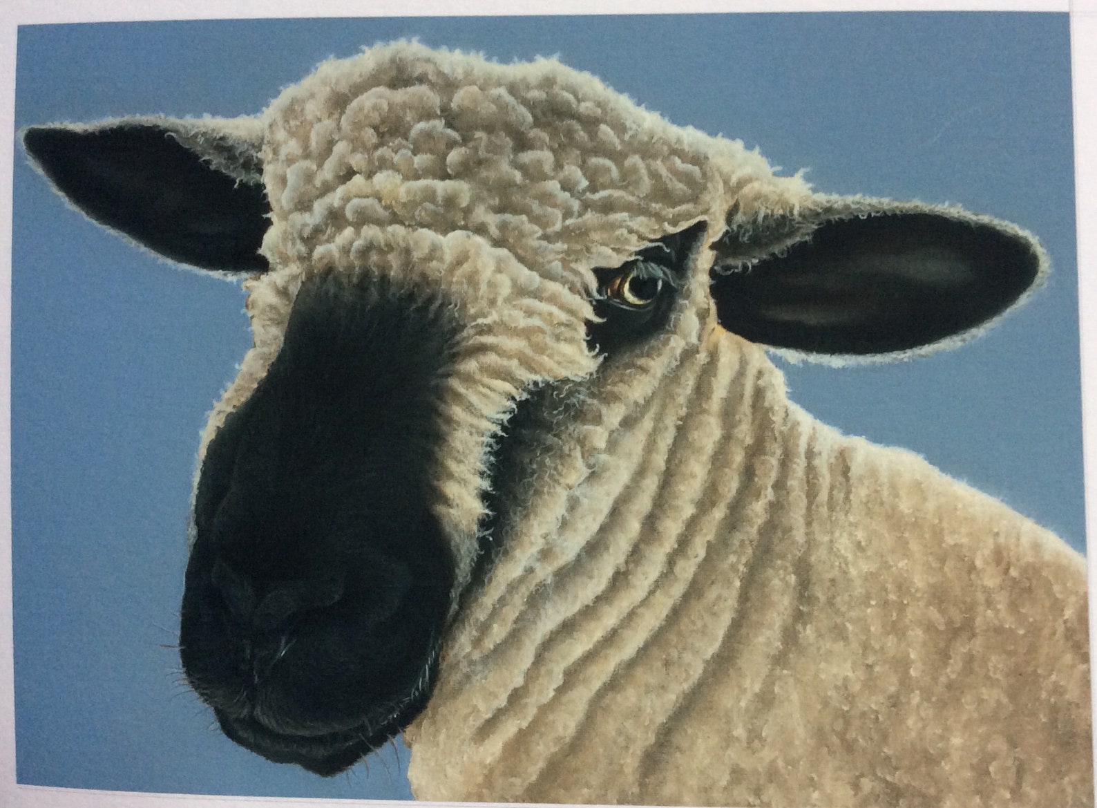 Sheep Print Painting Gift Art Picture - Etsy