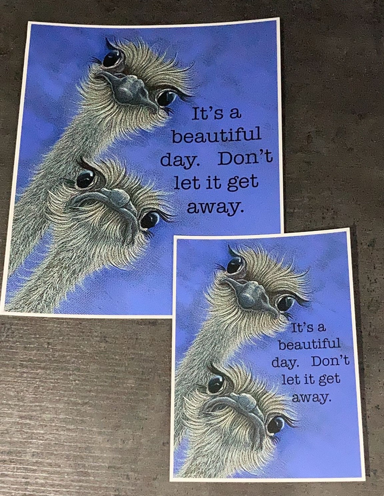 Ostrich Print Painting Gift Art Picture Poster Fun - Etsy