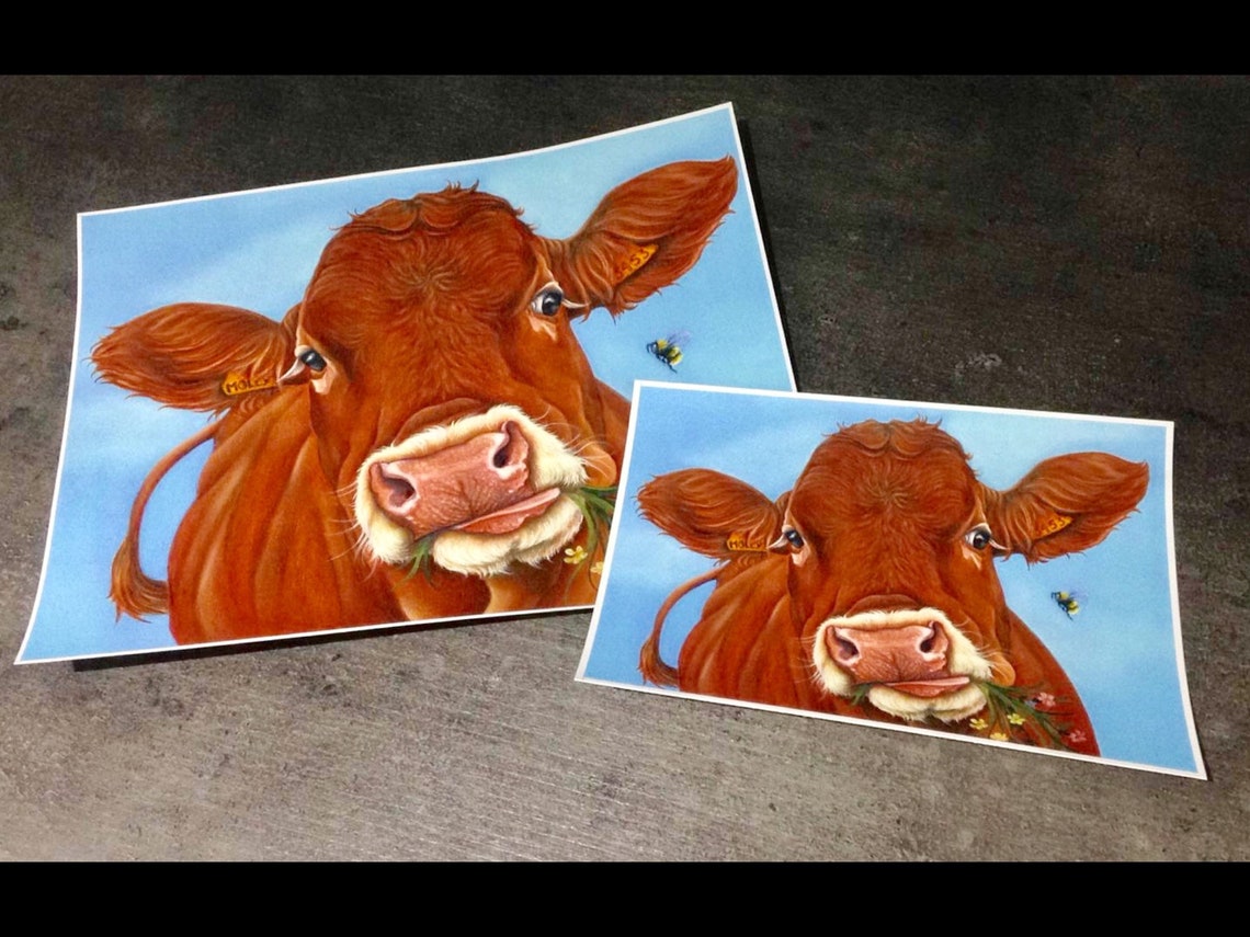 Limousin Cow Print, Painting, Gift, Art, Picture - Etsy