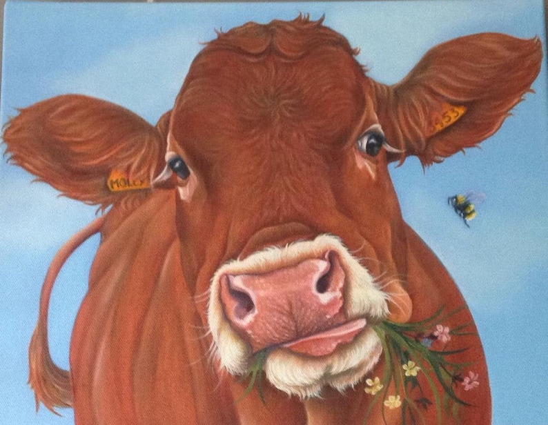 Limousin Cow Print on Canvas, Gift, Art and Original Painting - Etsy