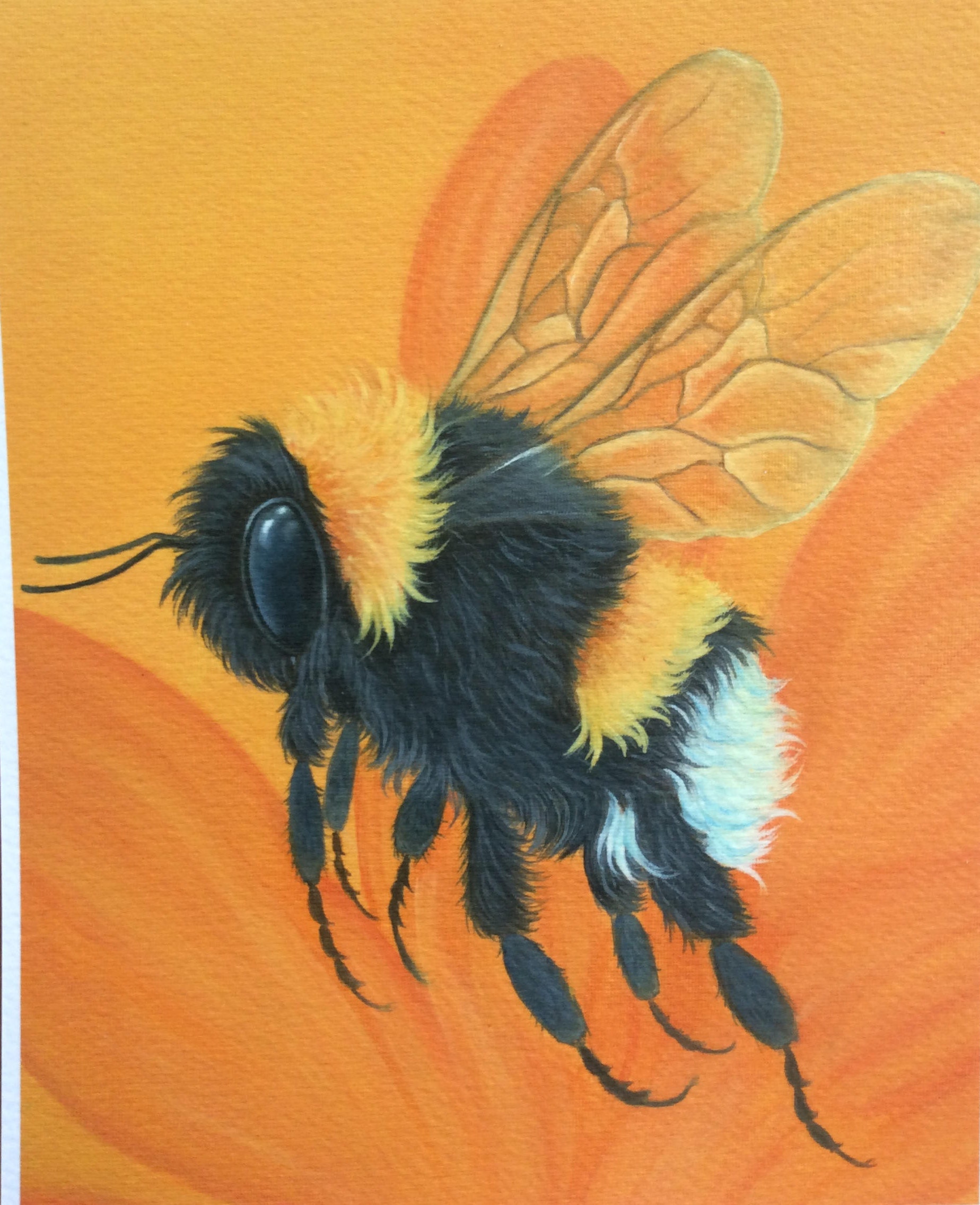 Bumblebee Painting Bee Print Gift Art Picture | Etsy