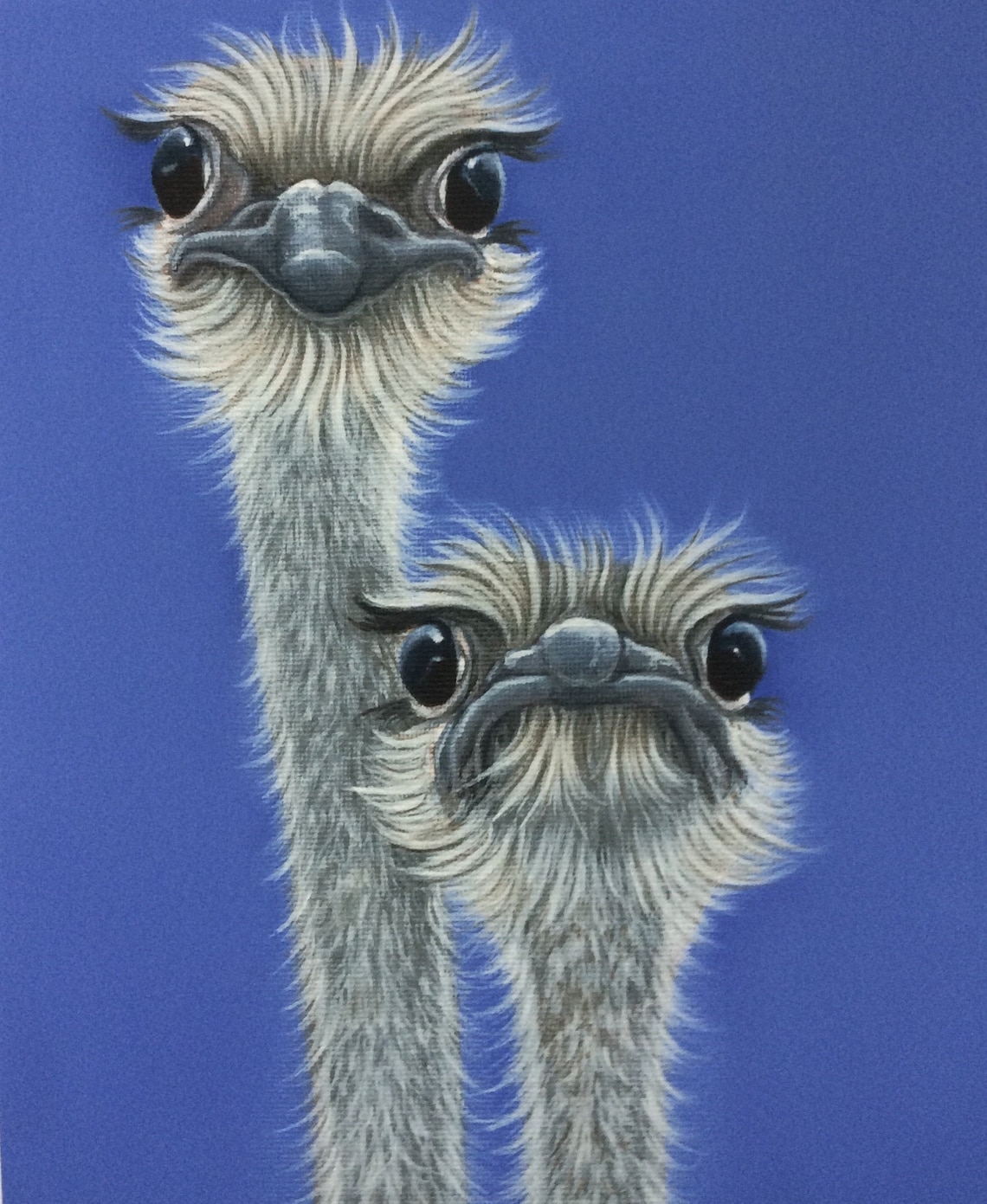 Ostrich Print Painting Gift Art Picture Poster Fun - Etsy UK