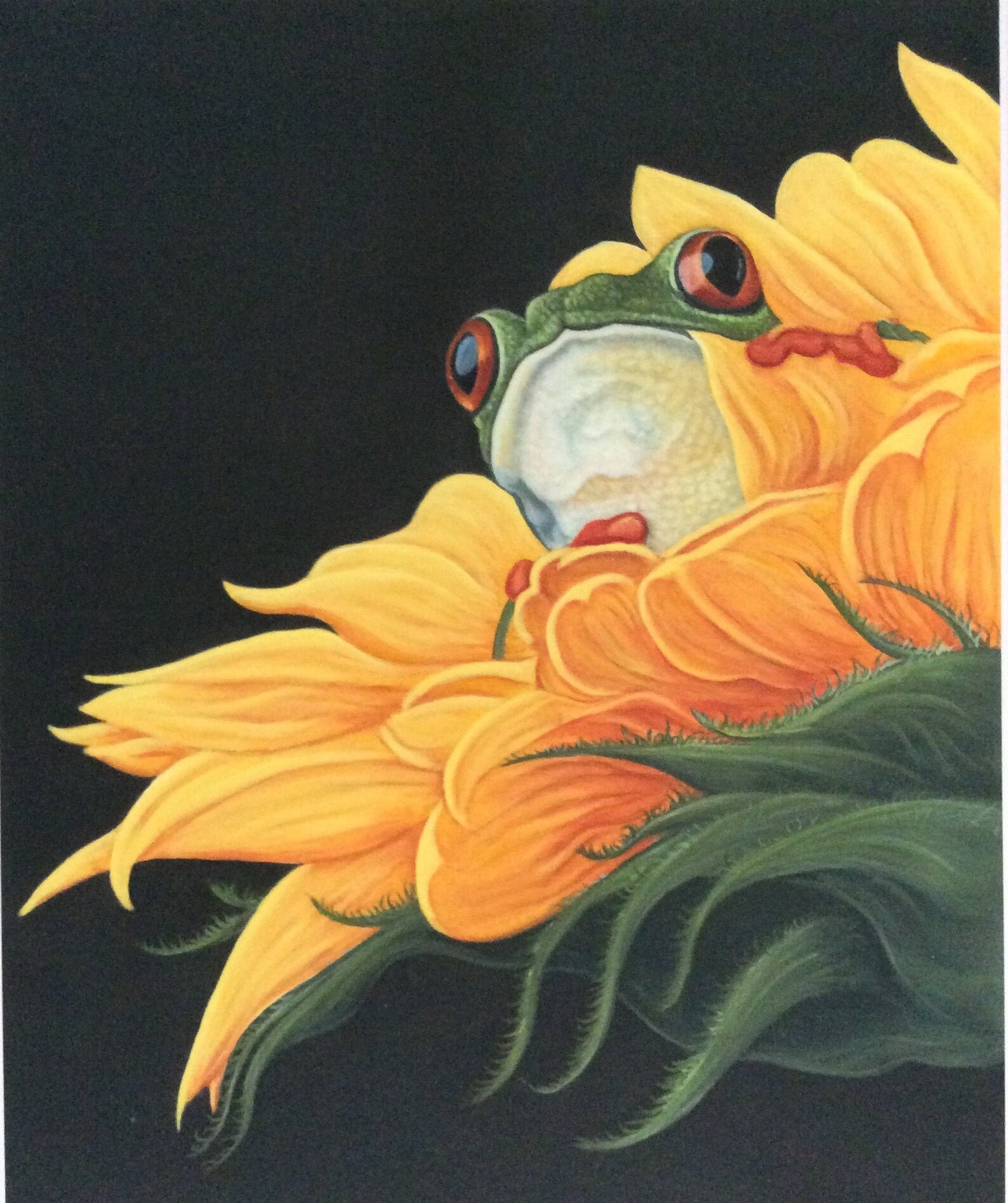 Impresión de rana pintura regalo arte imagen | Etsy