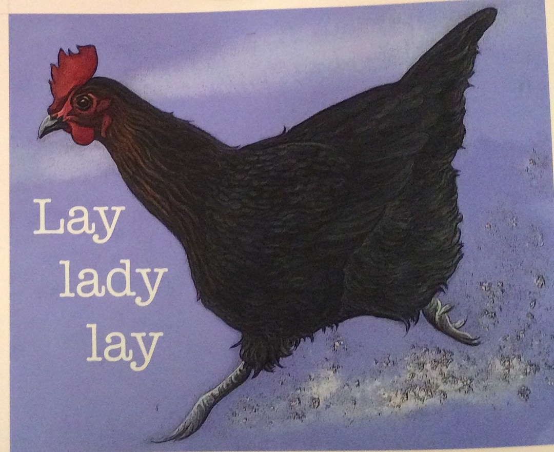 Fun Chicken Print, Gift, Art and Original Painting, Hen Picture, Poster ...