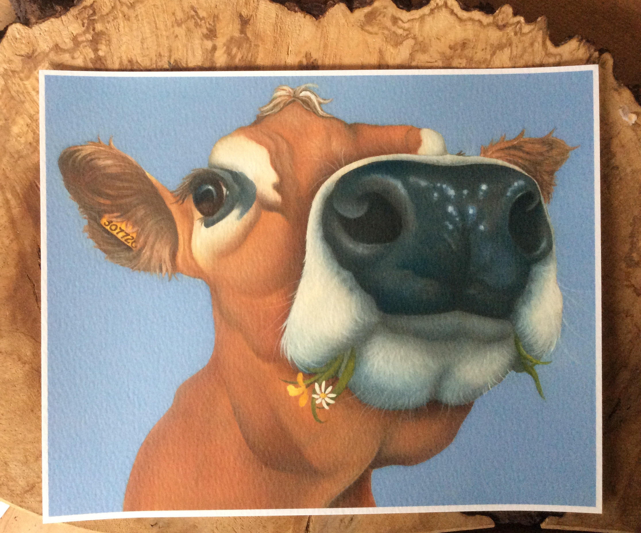 Jersey Cow Print Painting Gift Art Picture - Etsy UK