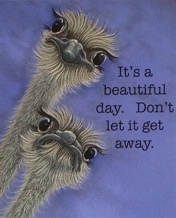 Funny Ostrich Quotes