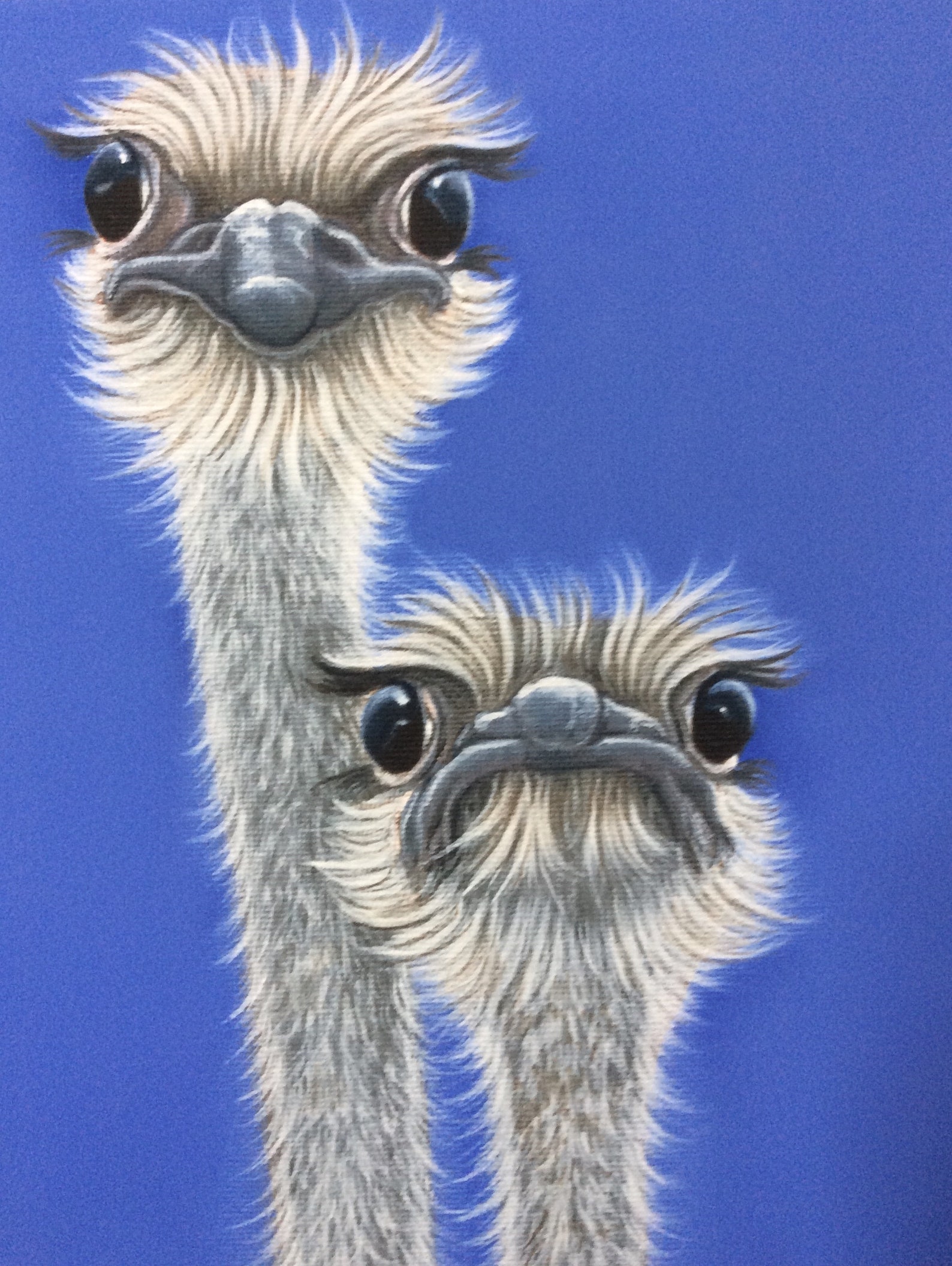 Ostrich Print Painting Gift Art Picture Poster Fun - Etsy