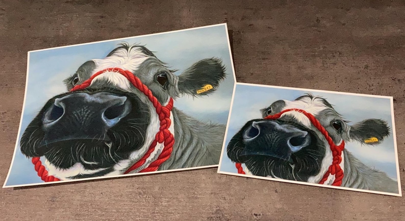 Cow Print, Painting, Art, Picture, Gift - Etsy UK