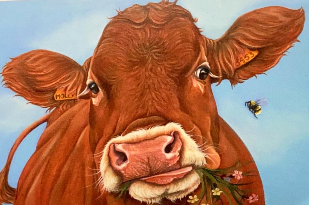 Limousin Cow Print, Painting, Gift, Art, Picture - Etsy