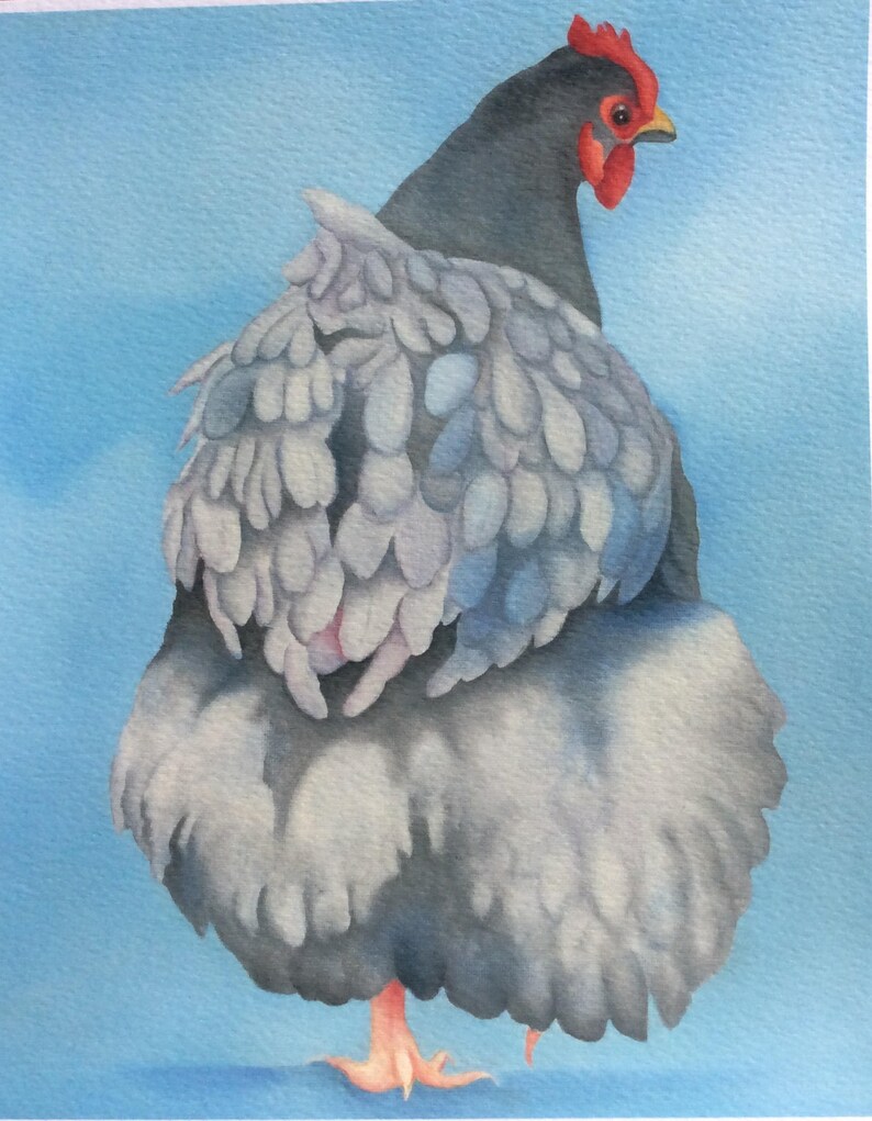Blue Orpington Chicken Painting Poster Style Fun Gift | Etsy
