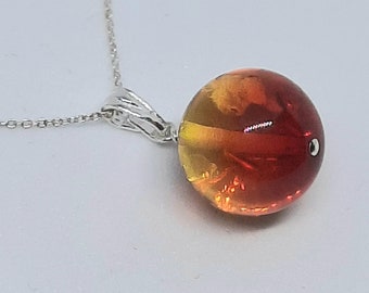Red Baltic Amber | Etsy