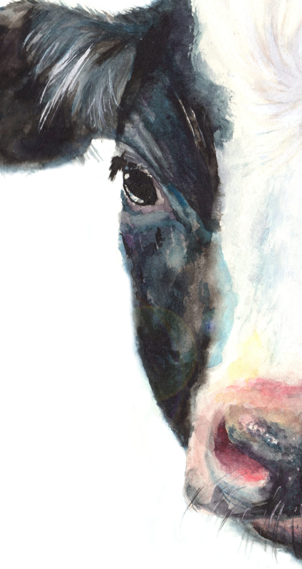 ARCHIVAL COW PRINT, Cows, Dairy Cow, Milking Cow, Farm, Watercolor ...