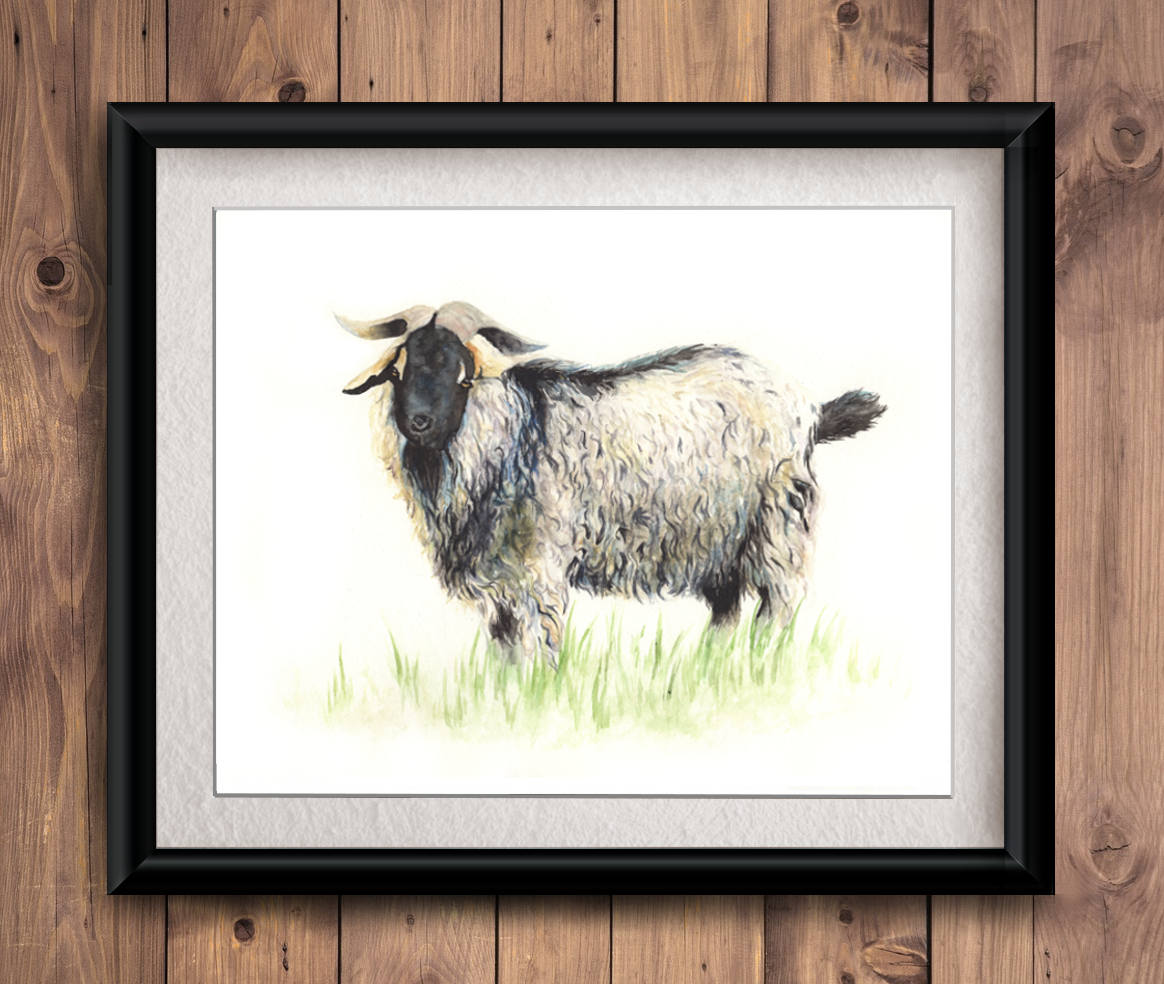 ARCHIVAL GOAT PRINT, Pygora Goat, Watercolor, Goats, Farm, Farm Art ...