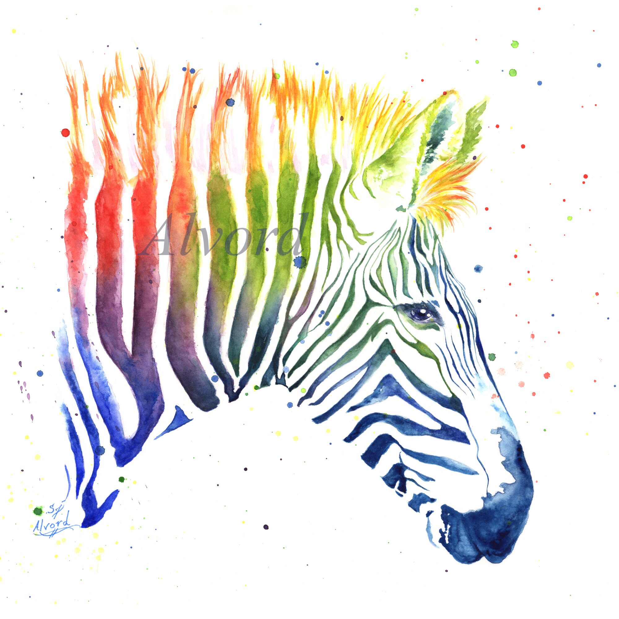 Zebra of a Different Color Watercolor Print Prints Zebras - Etsy