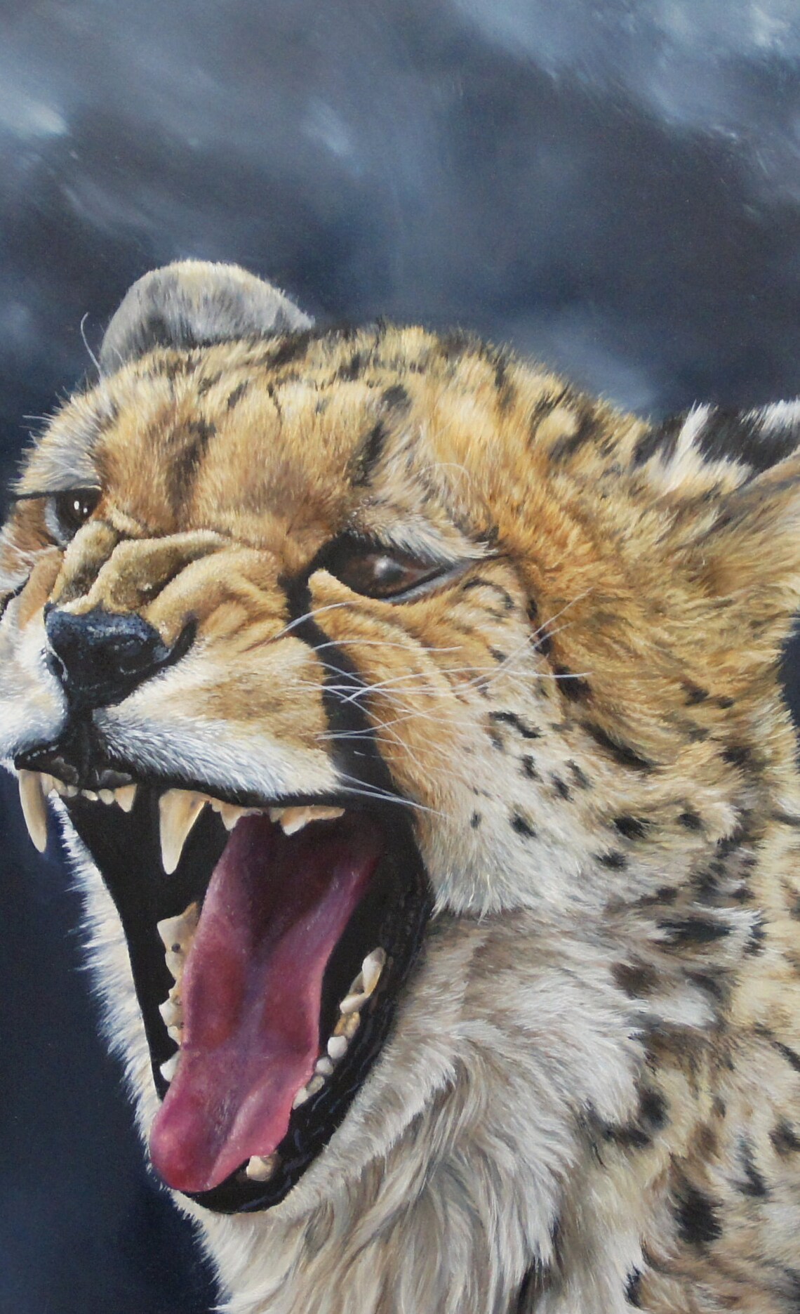 Original Cheetah Oil Painting, Africa, Cheetah, Cheetahs, Cat, Cats ...