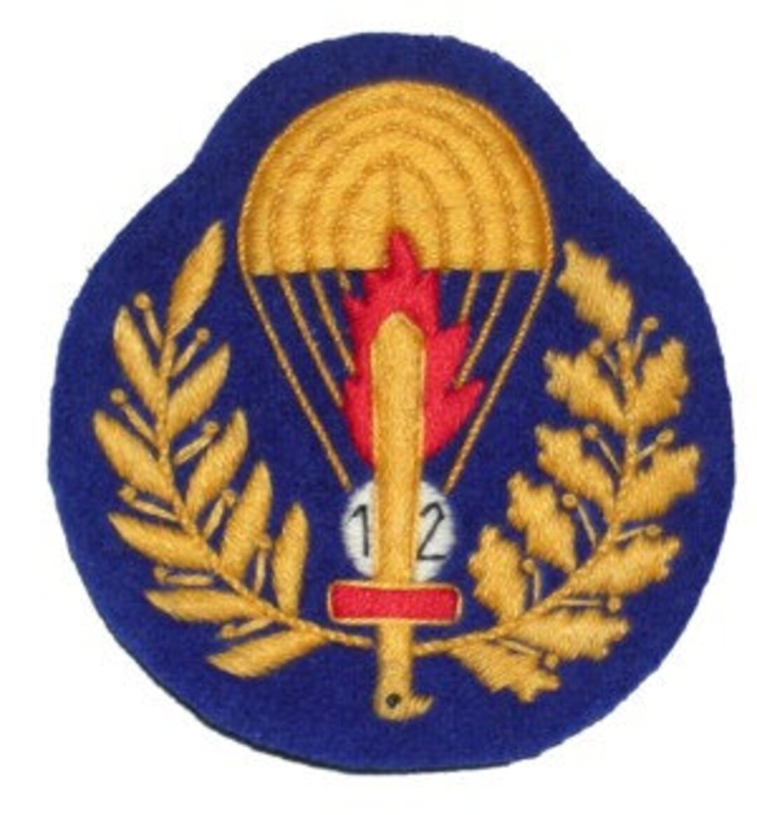 Reproduction WW2 Italian Enlisted Ranks Parachute Qualification Badge ...