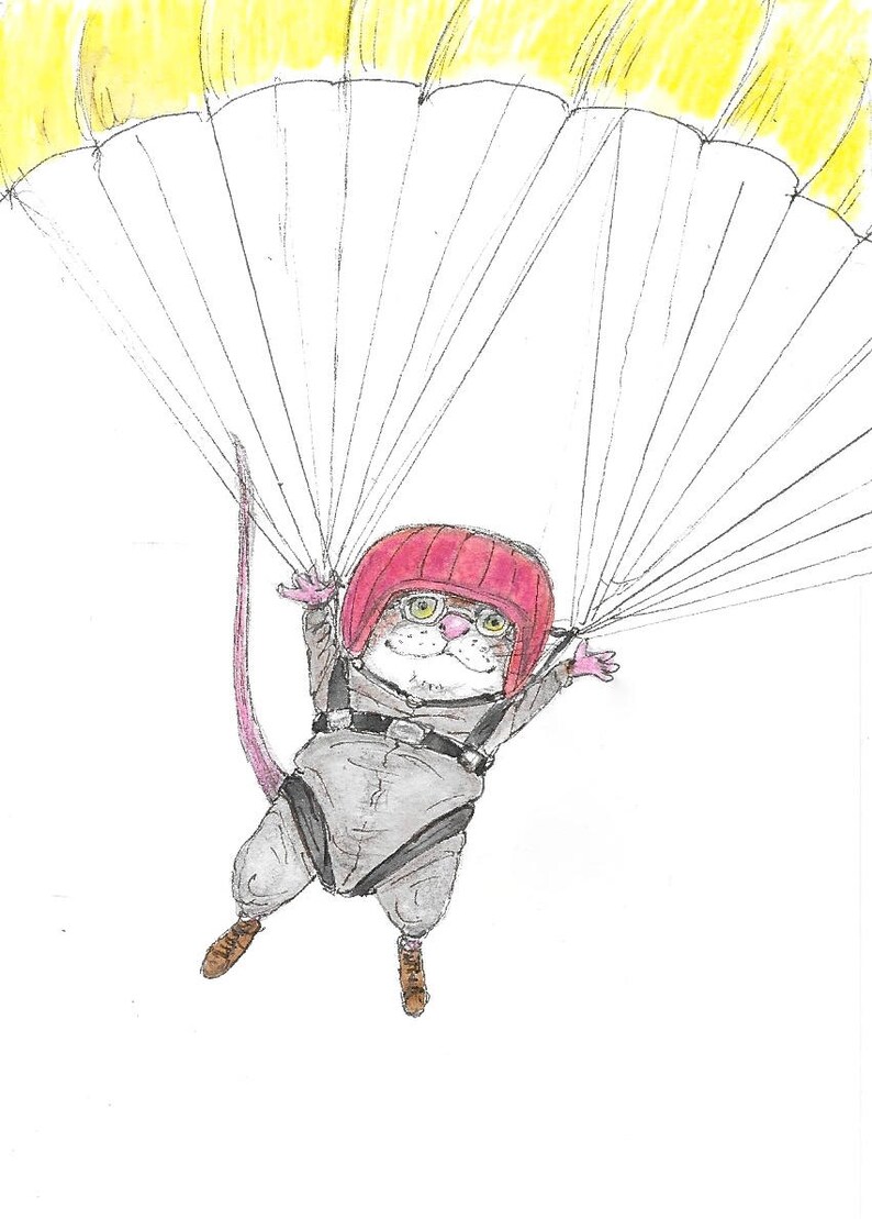 33) Parachuting Mouse Birthday Card – on Your Birthday the Sky's the ...