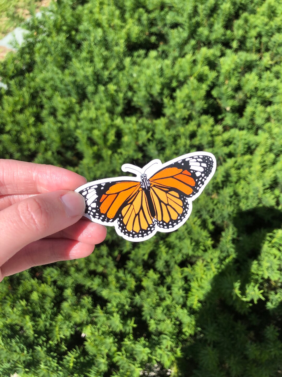 Monarch Butterfly Die Cut Refrigerator Magnet - Etsy