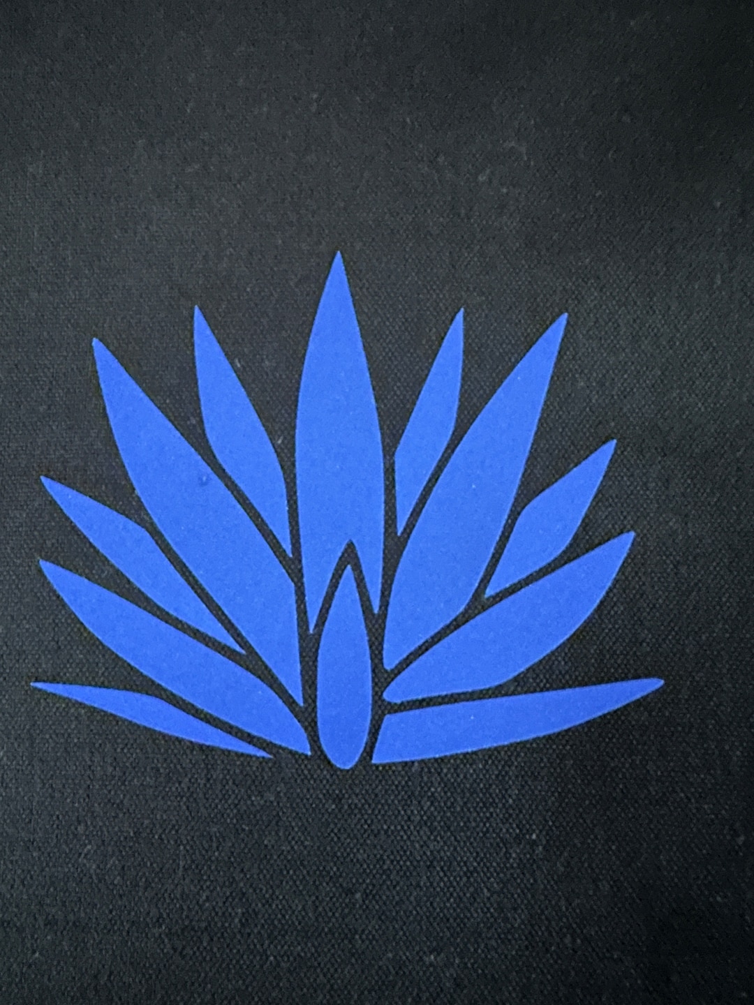 AGAVE PLANT - Reflective Iron on Patch for Clothing and Accessories - Etsy